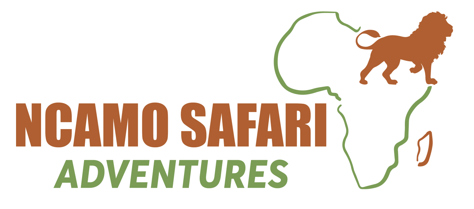 6 Days Luxury Safari Serengeti National Park - Ncamo Safari Adventures